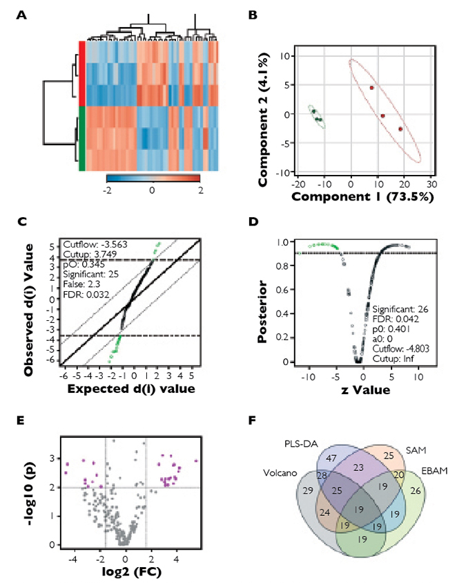 Metabolomics approaches to improve mussel larval production ...