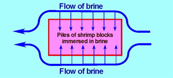 The proper use of brine to freeze shrimp, part 2 - Responsible Seafood ...