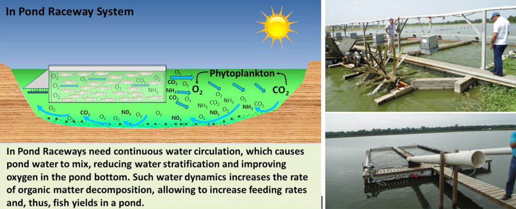 The promise of In-Pond Raceway Systems, part 1 - Responsible Seafood ...
