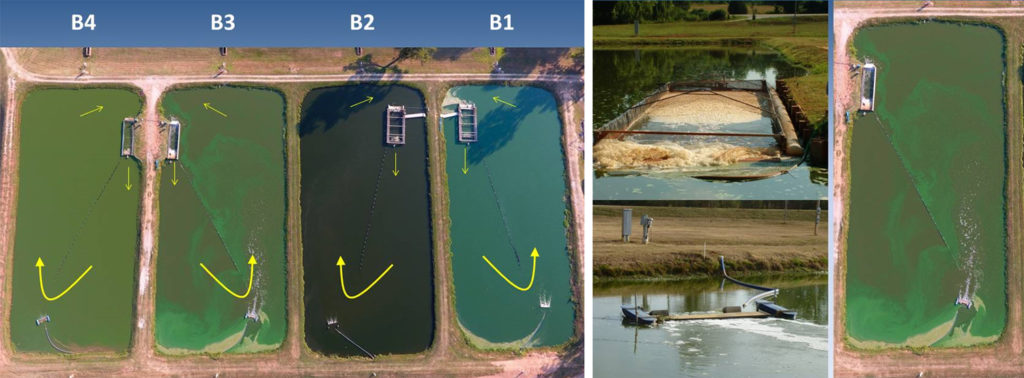 The promise of In-Pond Raceway Systems, part 1 - Responsible Seafood ...