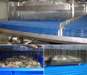 The proper use of brine to freeze shrimp, part 2 - Responsible Seafood ...