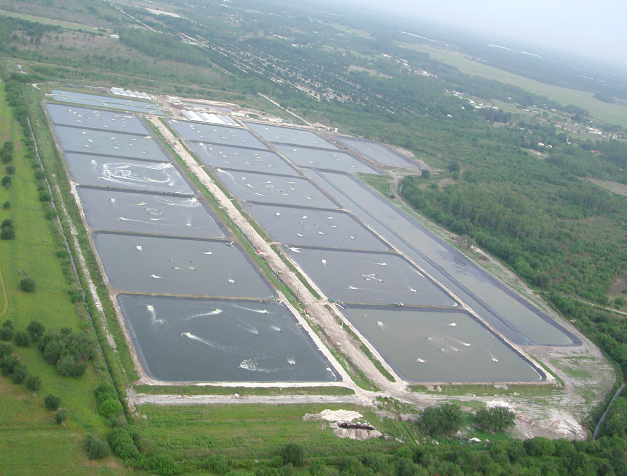 Growth away from the coast: Examining inland shrimp farming ...