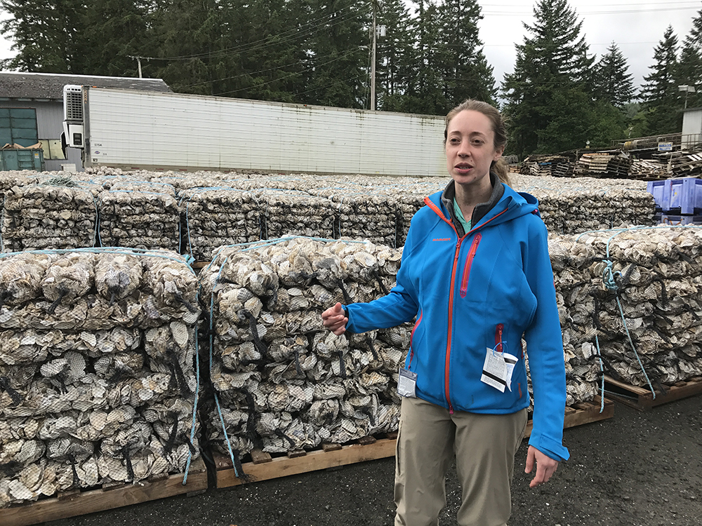 Farm, plant and hatchery: The Taylor Shellfish experience - Responsible ...