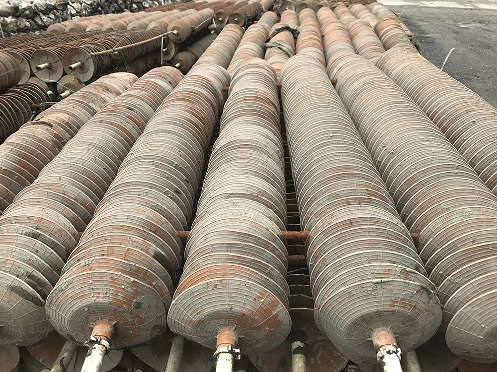 Farm, plant and hatchery: The Taylor Shellfish experience - Responsible ...