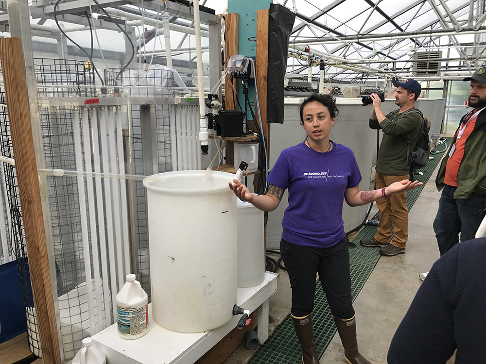 Farm, plant and hatchery: The Taylor Shellfish experience - Responsible ...