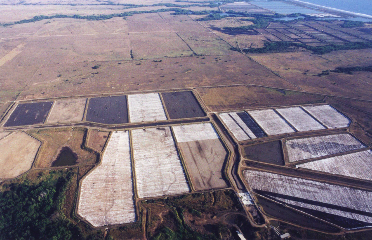 Lime plays crucial role in aquaculture pond management - Responsible ...