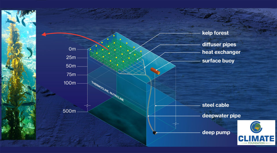 Ocean permaculture: Air conditioning for warming seas - Responsible ...