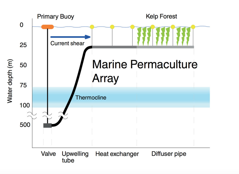 Ocean permaculture: Air conditioning for warming seas - Responsible ...