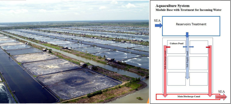A look at various intensive shrimp farming systems in Asia ...