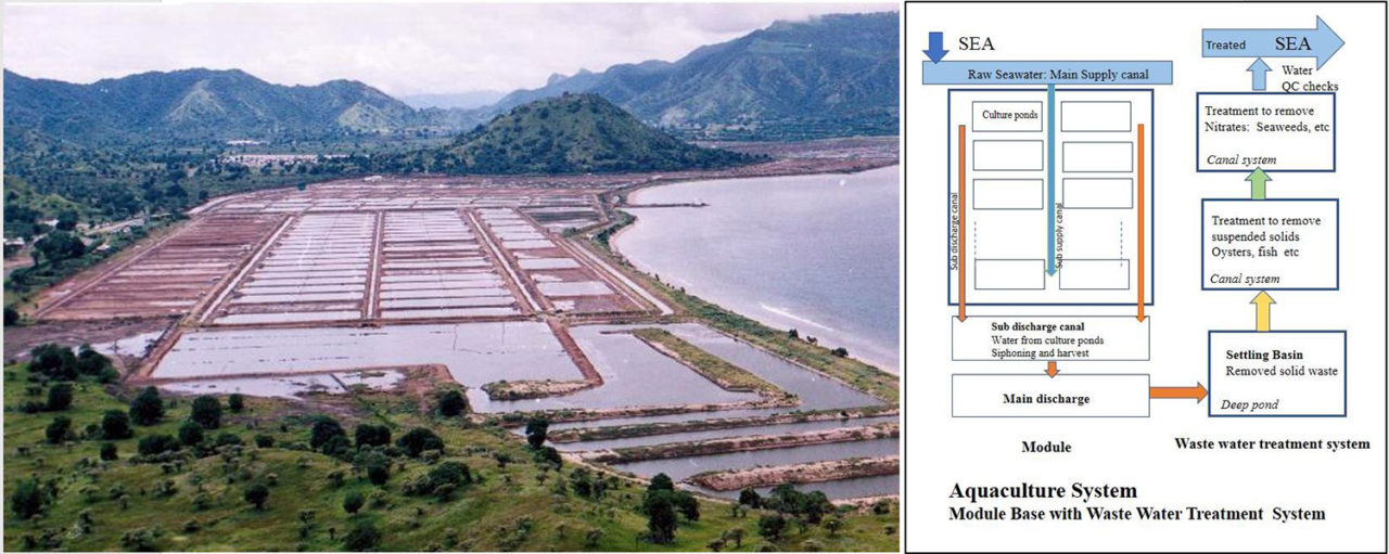 A look at various intensive shrimp farming systems in Asia ...