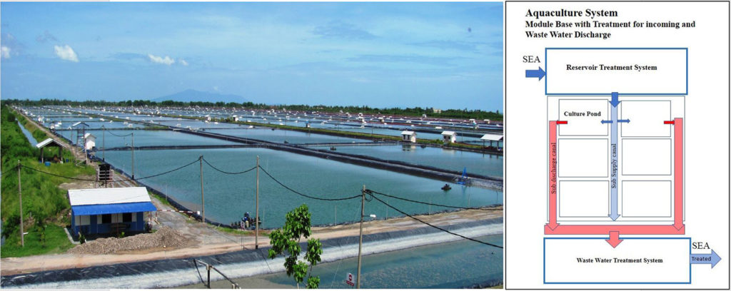 A look at various intensive shrimp farming systems in Asia ...