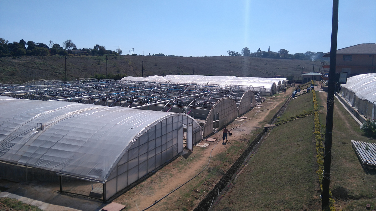 Optimizing tilapia biofloc technology systems, part 1 - Responsible ...