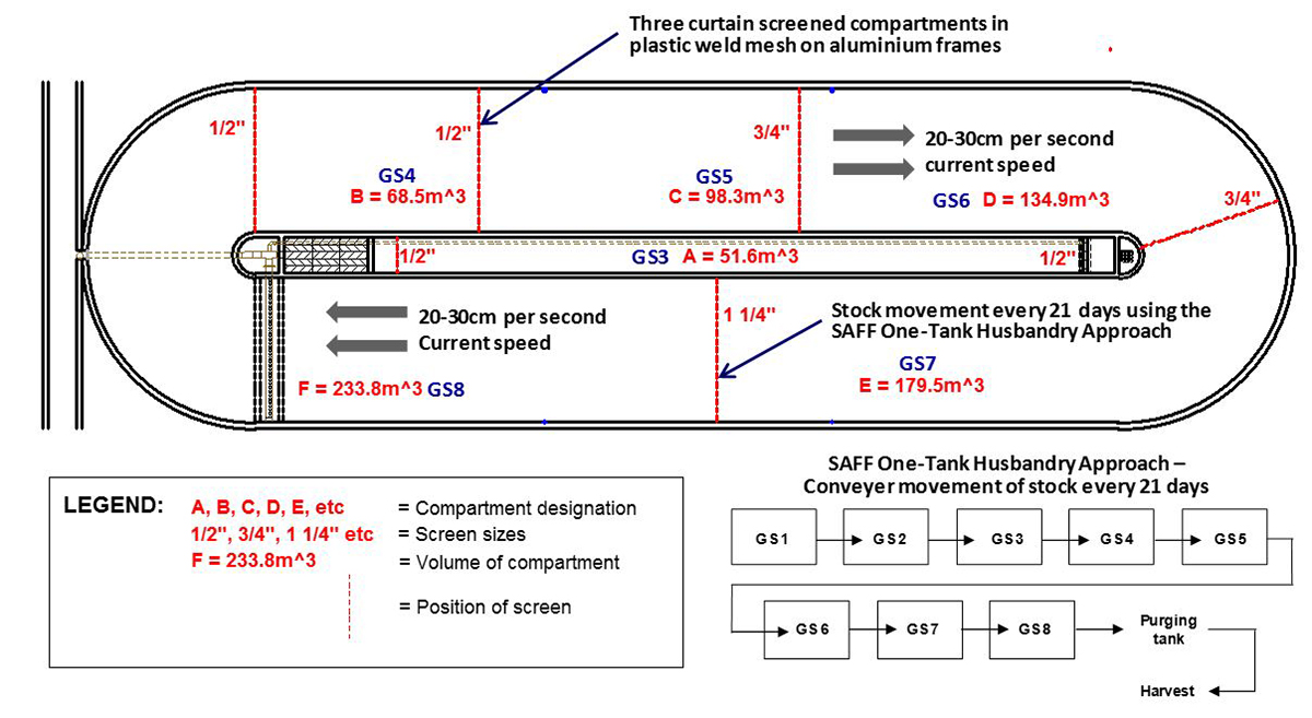 Optimizing tilapia biofloc technology systems, part 1 - Responsible ...