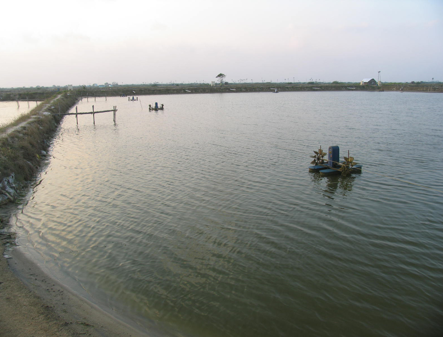 Electrical conductivity of water, part 2 - Responsible Seafood Advocate