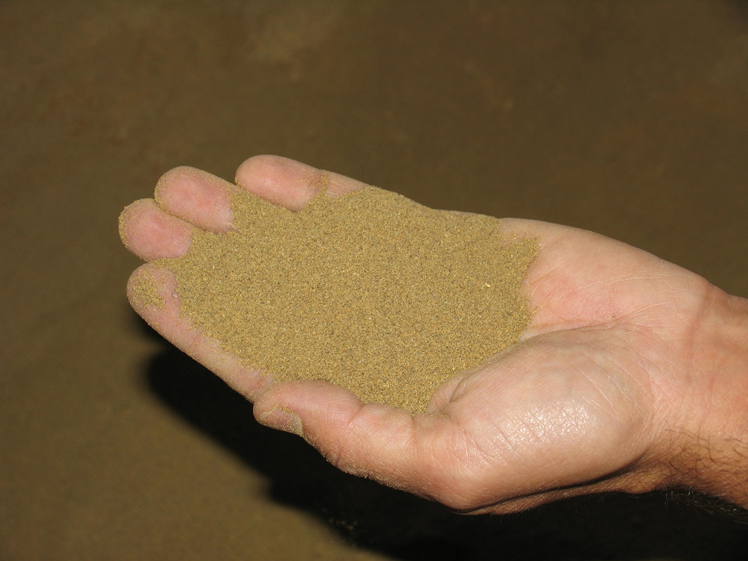 Performance of aquafeed ingredients in extrusion cooking - Responsible ...