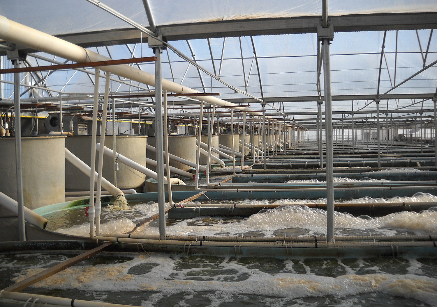 What to do with empty big box stores? Turn them into fish farms ...