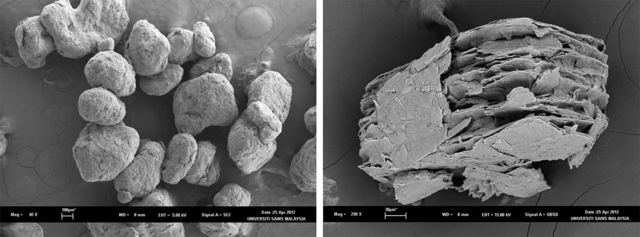 Organic acids in aquafeeds: A potential substitute for antibiotics ...