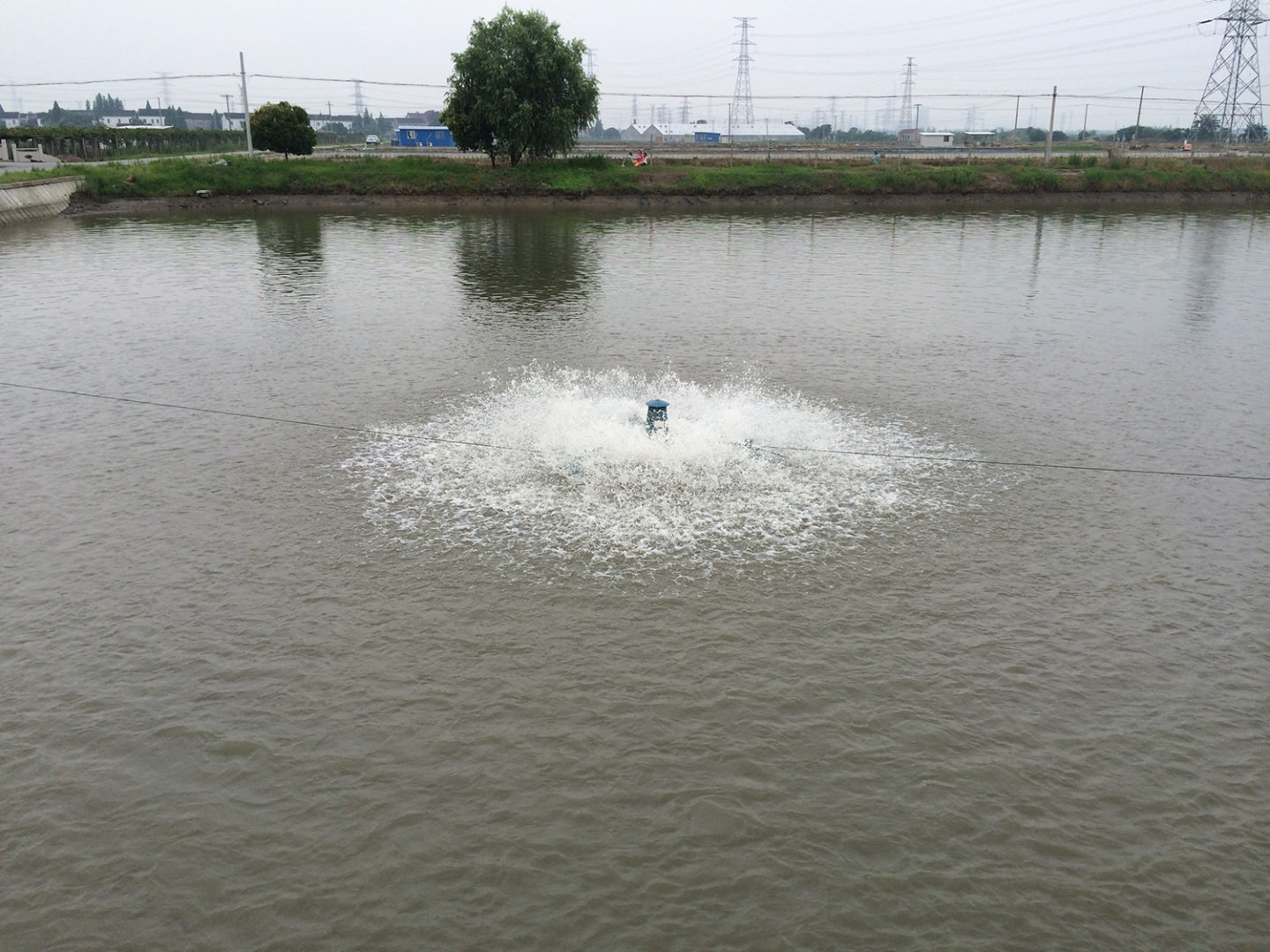 Why water mixing and movement is key in aquaculture systems ...