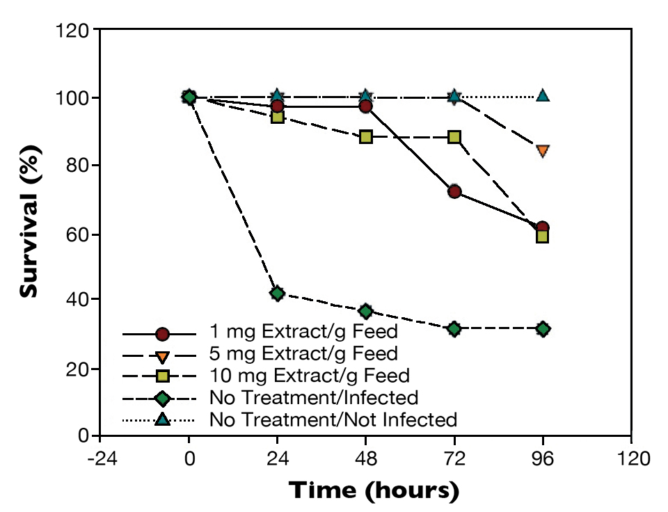 Mineral extract reduces EMS, WSSV impacts in Pacific white shrimp ...
