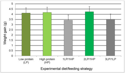 Mixed feeding schedules benefit growth of Pacific shrimp - Responsible ...