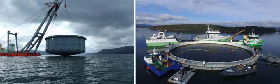 Developments in closed-containment technologies for salmonids, part 1 ...