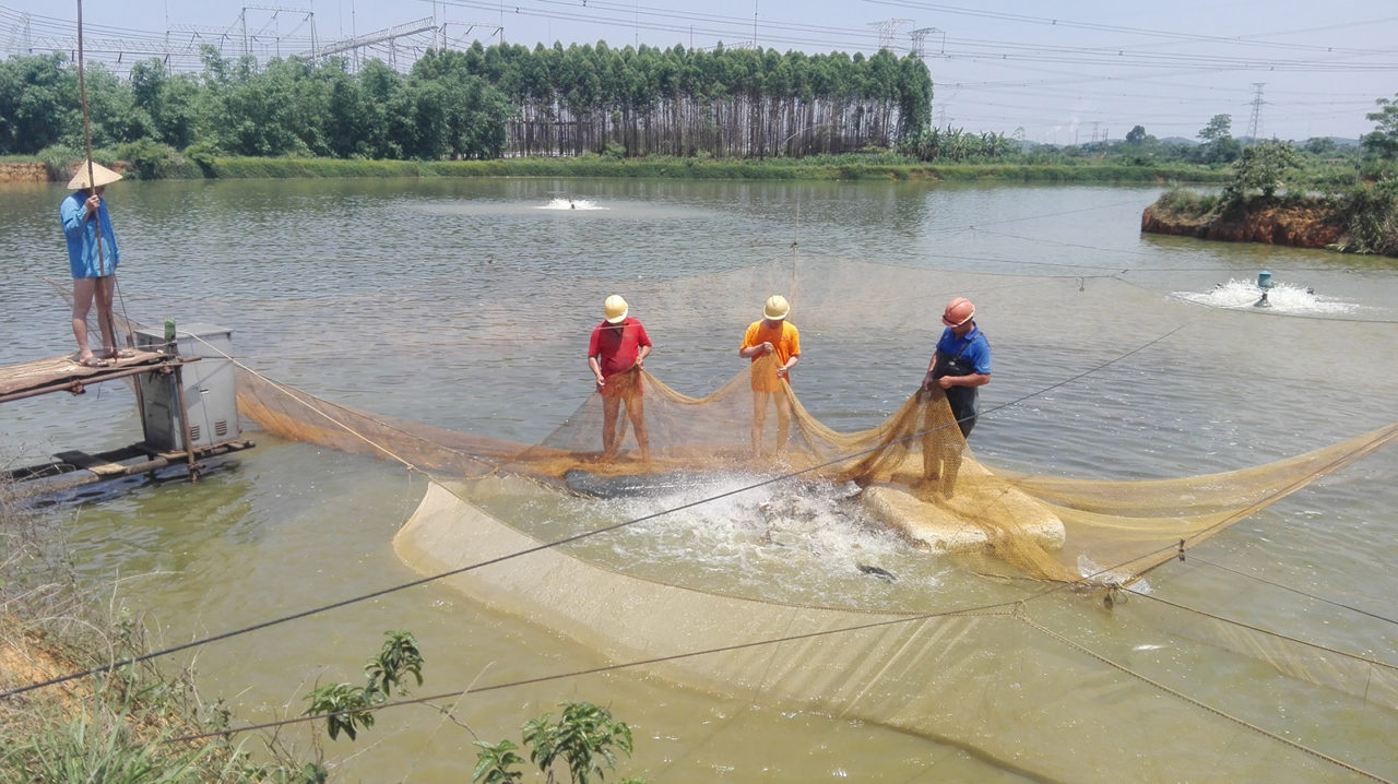 Bio-economic modeling for improving aquaculture performance ...