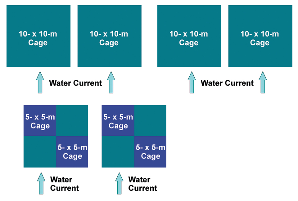 Low volume, high density: Milkfish demonstration project - Responsible ...