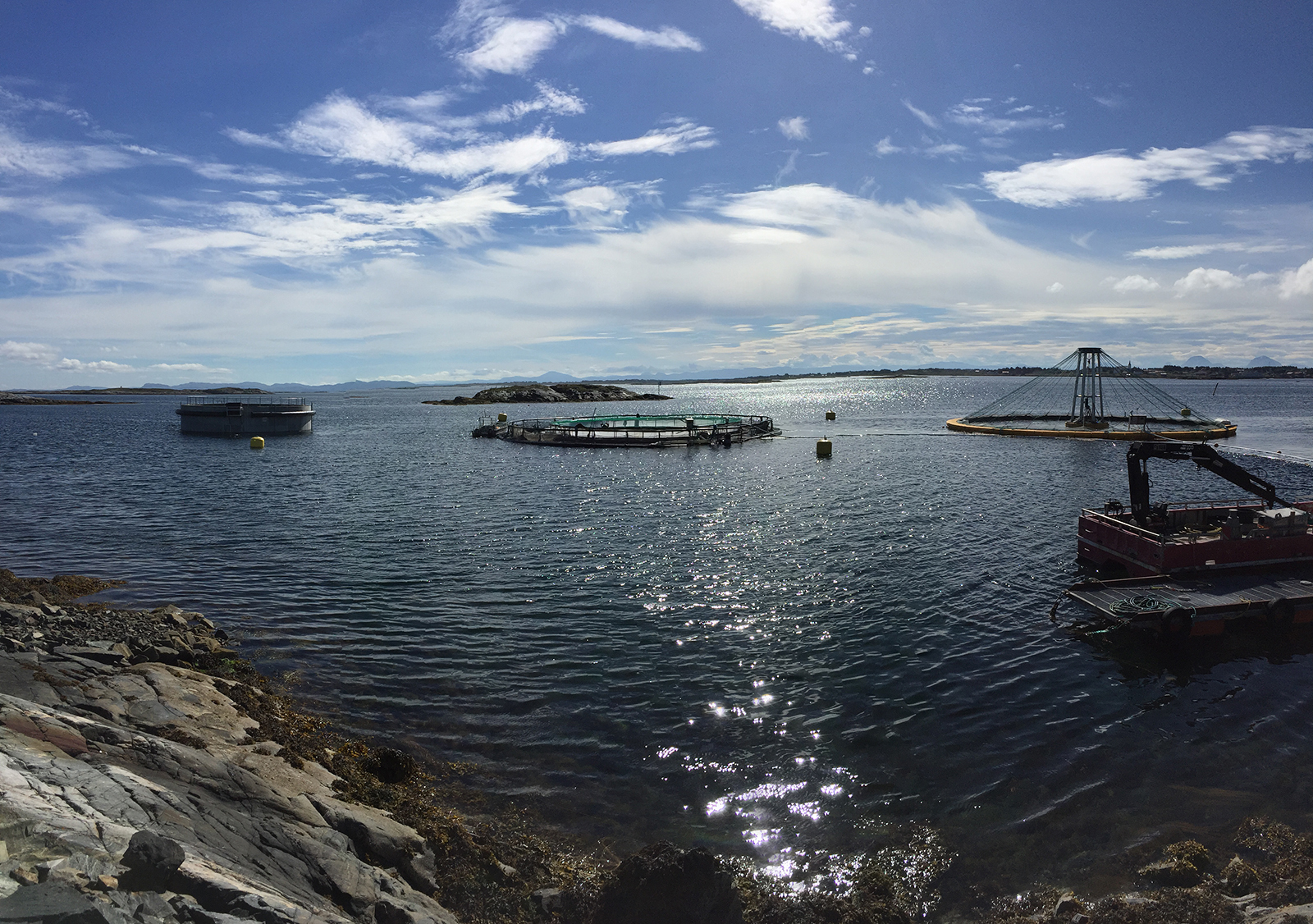 Developments in closed-containment technologies for salmonids, part 2 ...