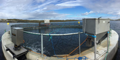 Developments in closed-containment technologies for salmonids, part 2 ...