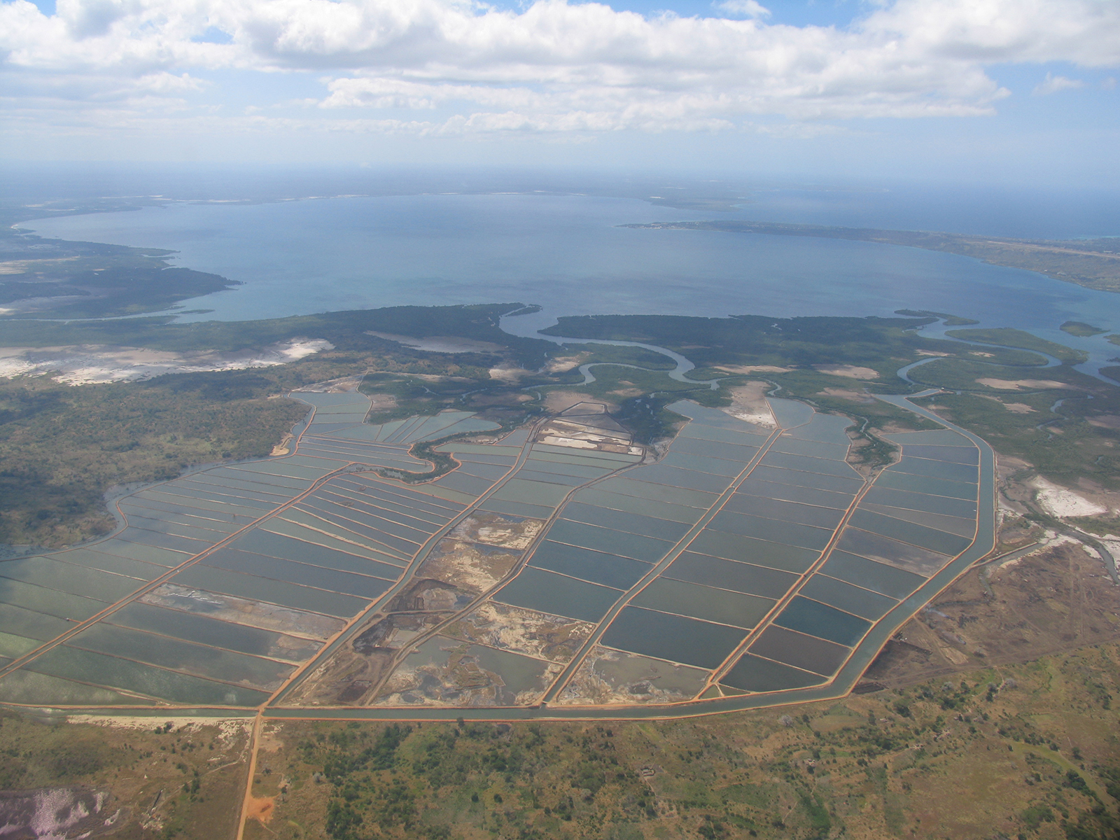 Estimating global shrimp pond area - Responsible Seafood Advocate
