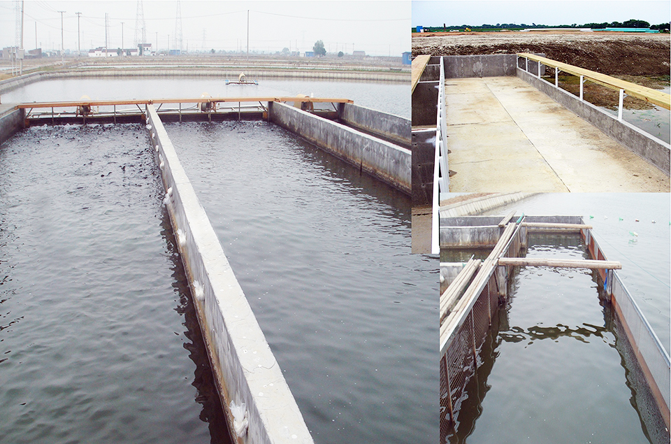New intensive pond aquaculture technology demonstrated in China ...