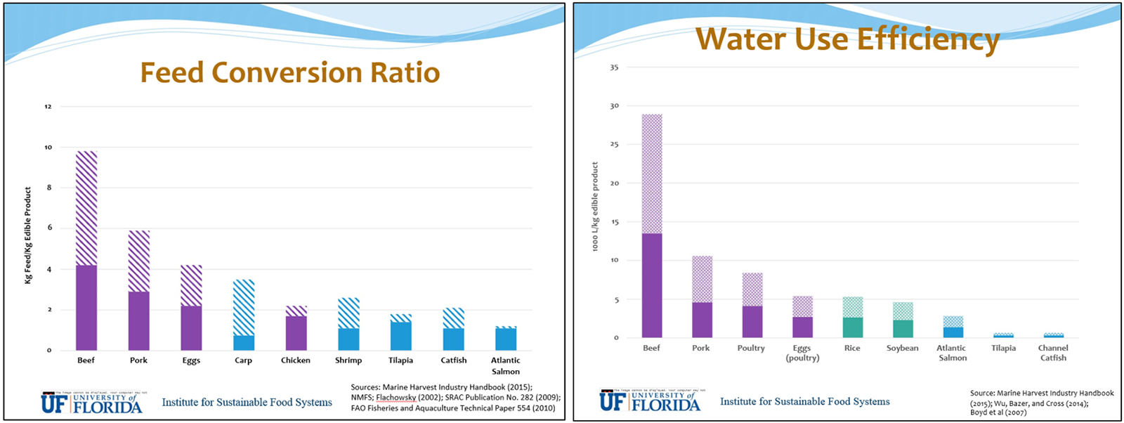 Farmed seafood makes sense - Responsible Seafood Advocate
