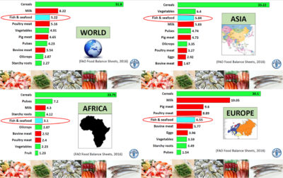 Food matters: A comparative analysis of fish, income and food supply ...