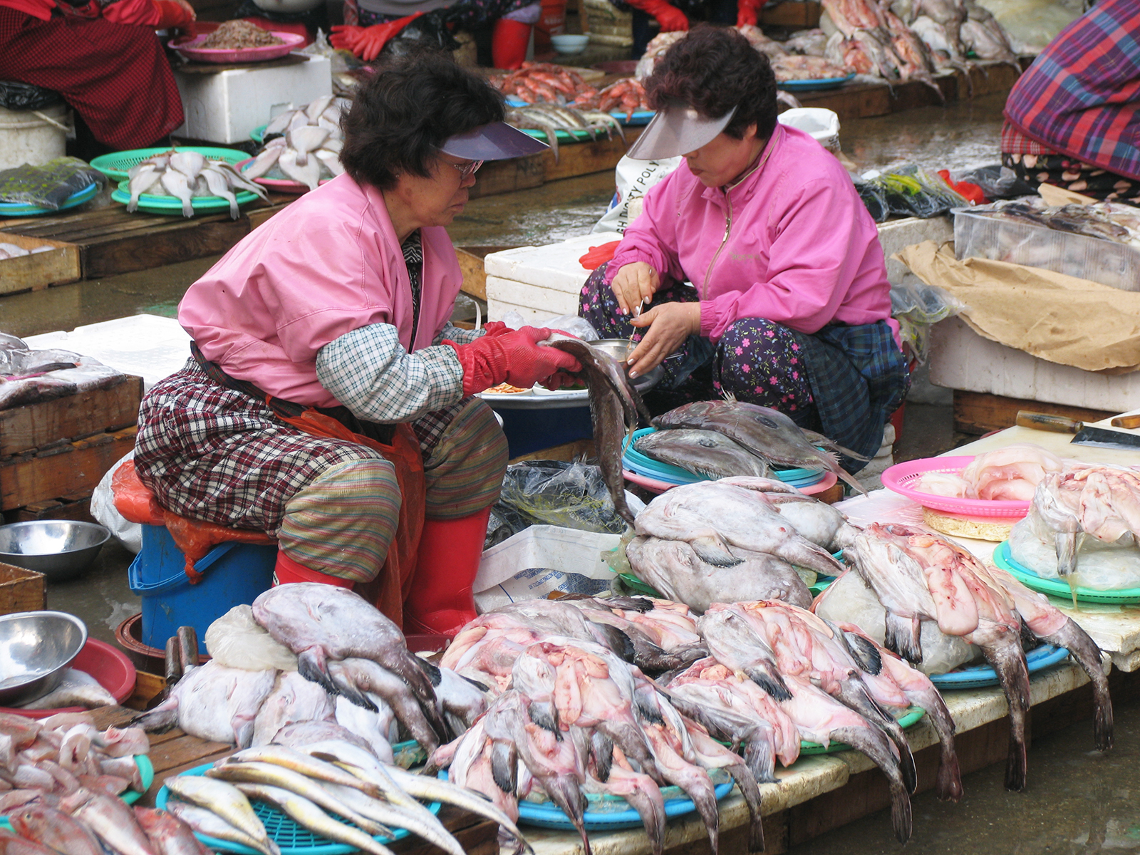 Food matters: A comparative analysis of fish, income and food supply ...
