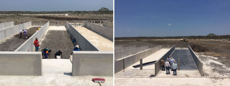 Commercial demonstration of in-pond raceways - Responsible Seafood Advocate