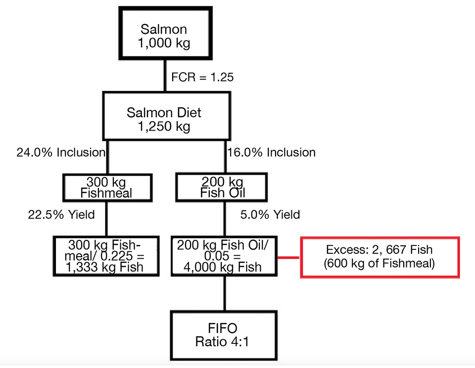 How much fish is consumed in aquaculture? - Responsible Seafood Advocate