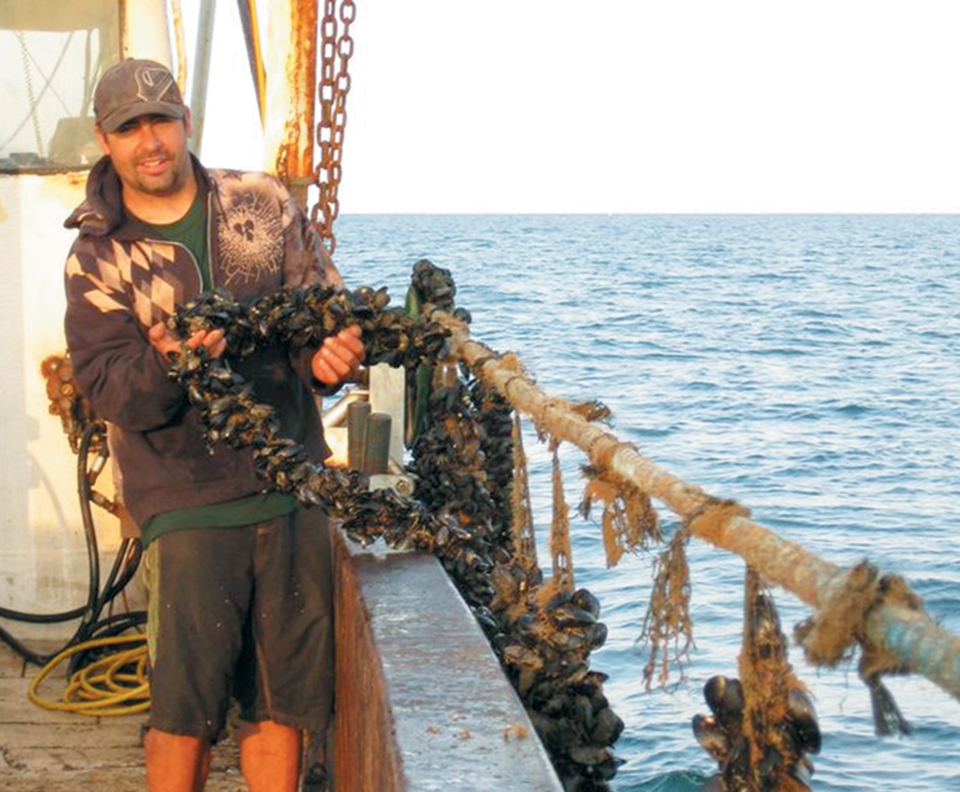 Offshore mussel culture - Responsible Seafood Advocate