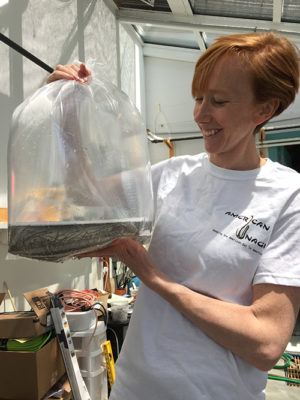 American Unagi brings eel farming back ‘home’ - Responsible Seafood ...