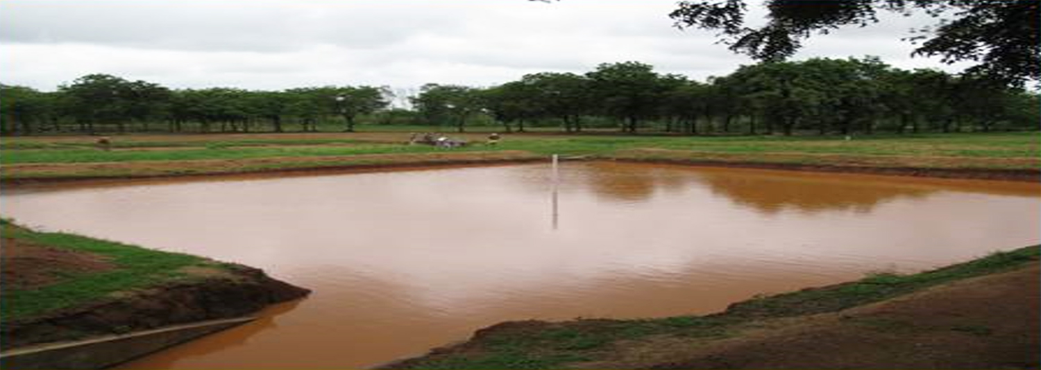 Rainy season effects on shrimp grow-out ponds - Responsible Seafood ...
