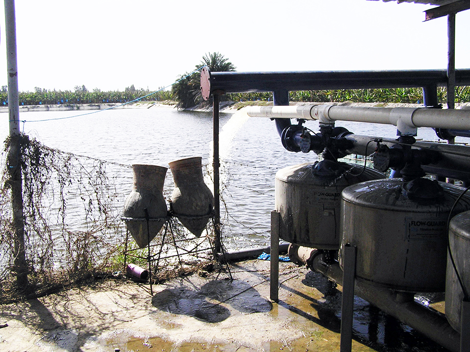 Water use at integrated aquaculture-agriculture farms - Responsible ...
