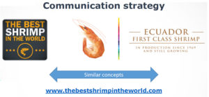 Shrimp farming industry in Ecuador, part 1 - Responsible Seafood Advocate