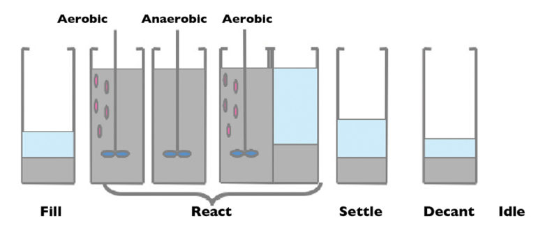Sequencing batch reactors effectively treat shrimp aquaculture wastewater - Responsible Seafood ...