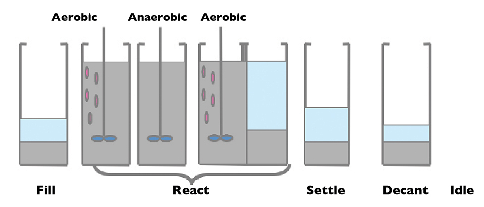 Sequencing batch reactors effectively treat shrimp aquaculture wastewater - Responsible Seafood ...