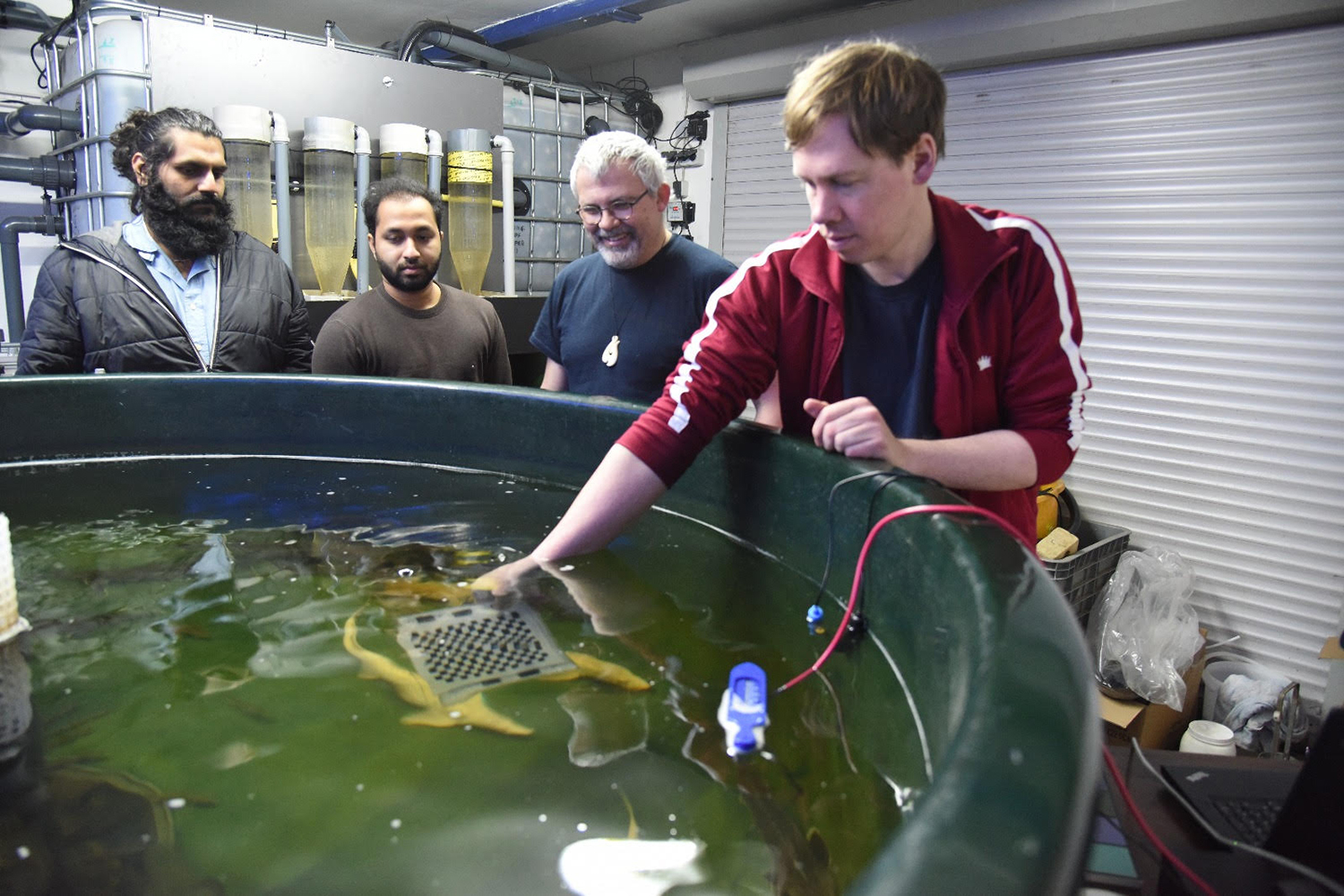 Can IoT tool help fish farmers sleep better at night? - Responsible ...