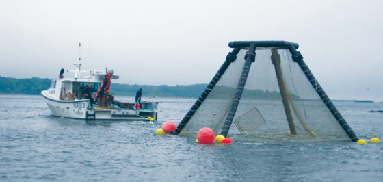 Small-scale, submersible fish cages suitable for developing economies ...