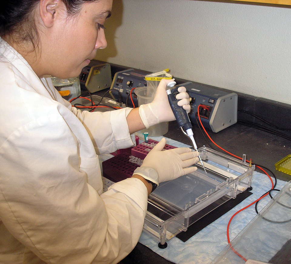 Ring tests compare PCR results from diagnostic laboratories ...