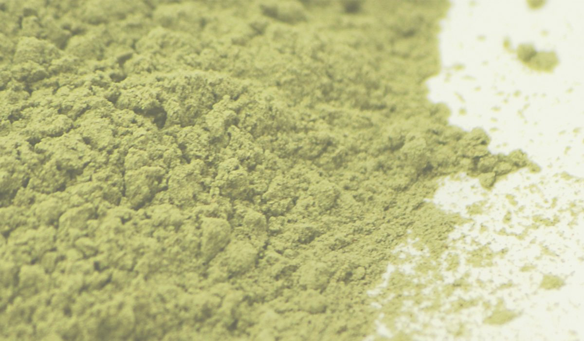 Finalista del Premio a la Innovación Global de Acuacultura: MNL Group ...