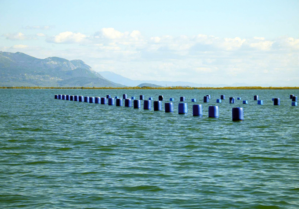 Mediterranean mussel culture in Greece - Responsible Seafood Advocate