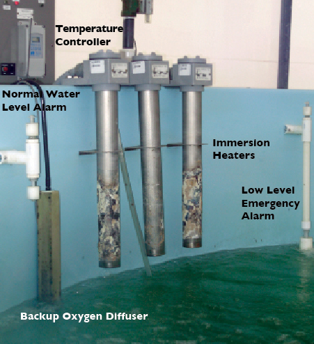 Backup oxygen, power systems essential insurance - Responsible Seafood ...
