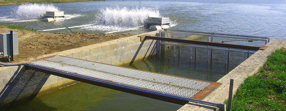 High-density split-pond systems offer high output, low maintenance ...